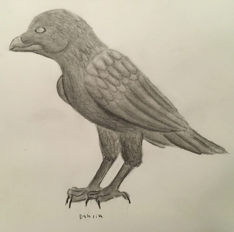 Crow (off topic art) | Fandom