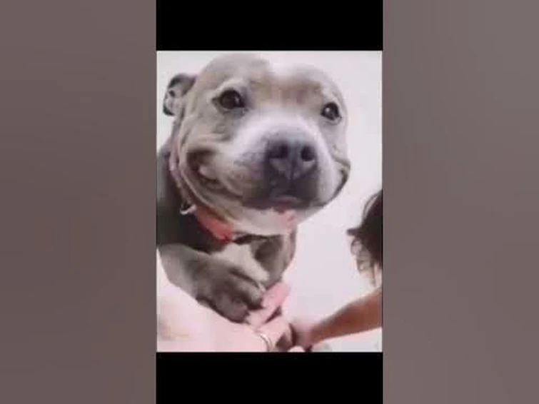 Daily madness memes 2# | Fandom