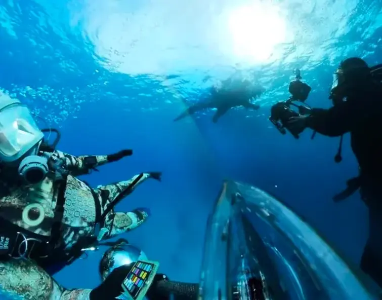 Everything we know about Surviving Earth so far. | Fandom