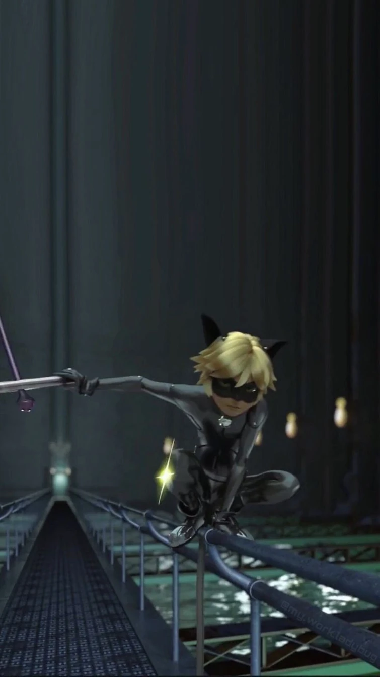 Cat noir??? | Fandom