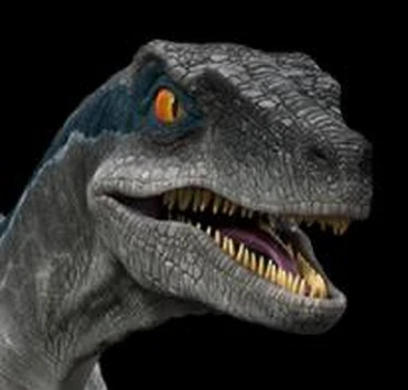 Raptor Fight | Fandom