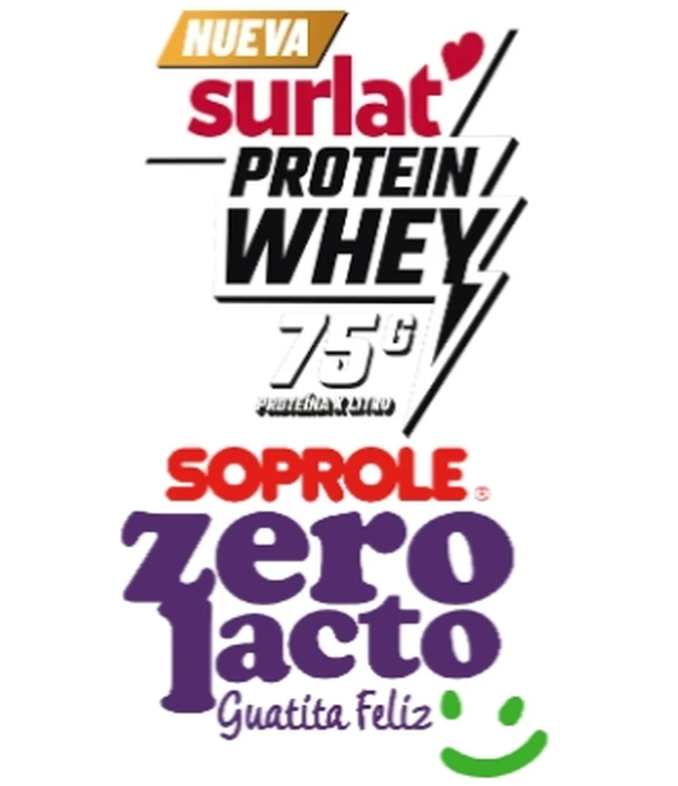 Natural Wealth Chile Logo Vector Background | Fandom