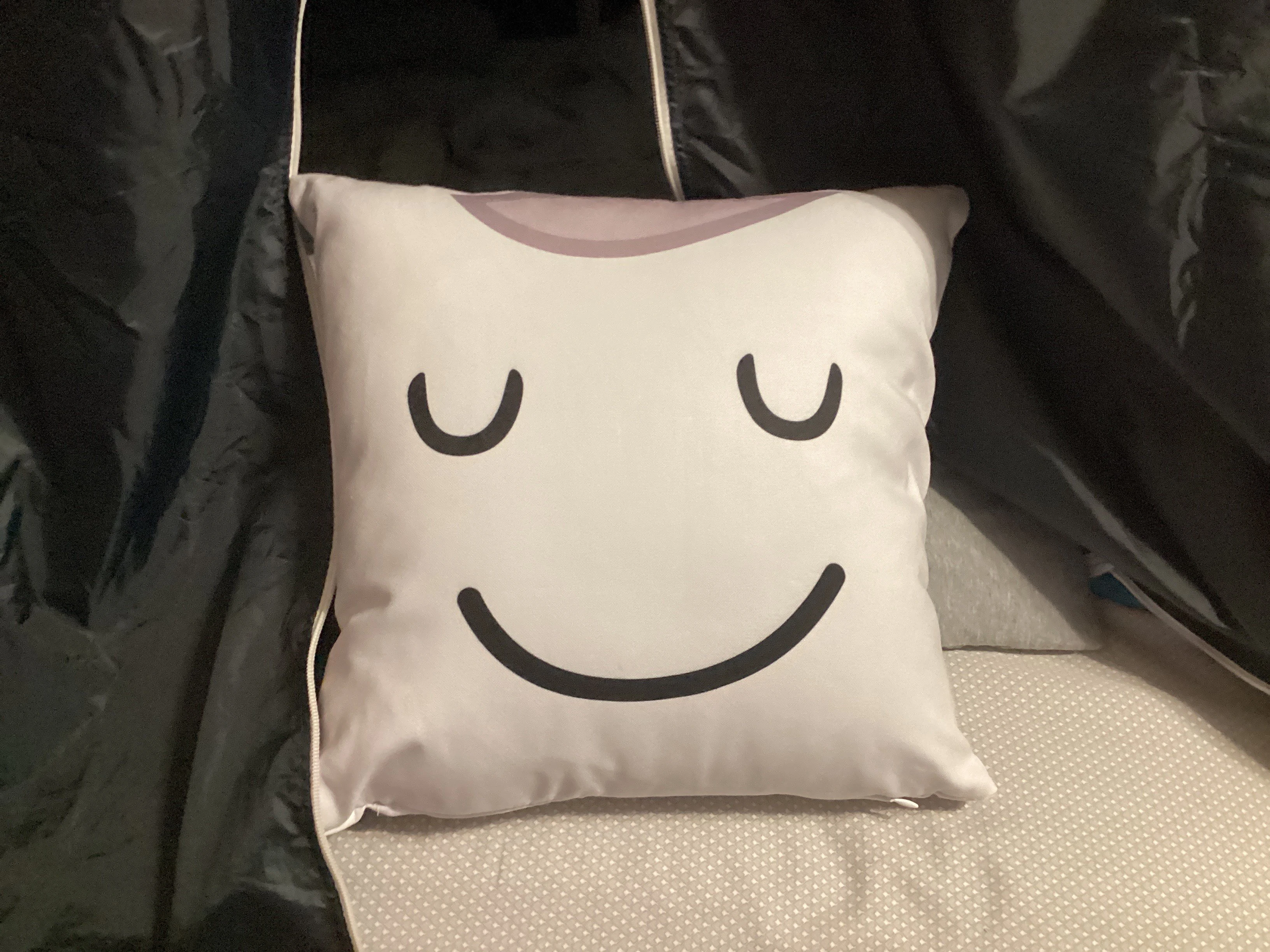 Pillow pillow is HERE | Fandom