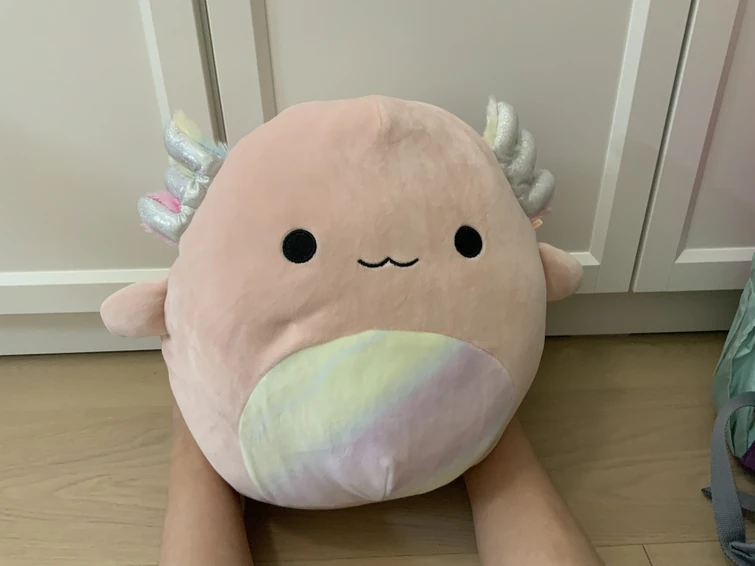 I got new squish!!!! | Fandom