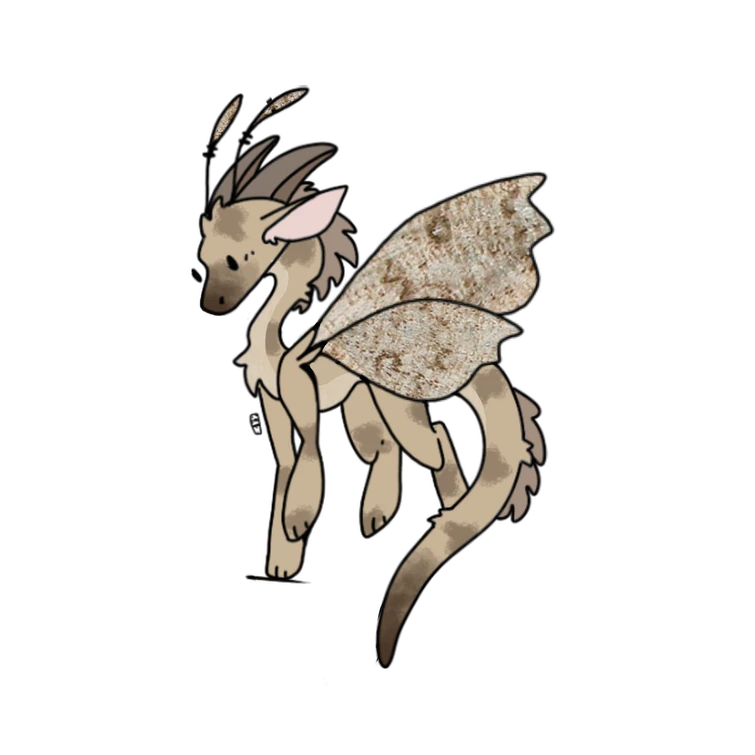 Here wiki, 2 Leafwings up for trade | Fandom