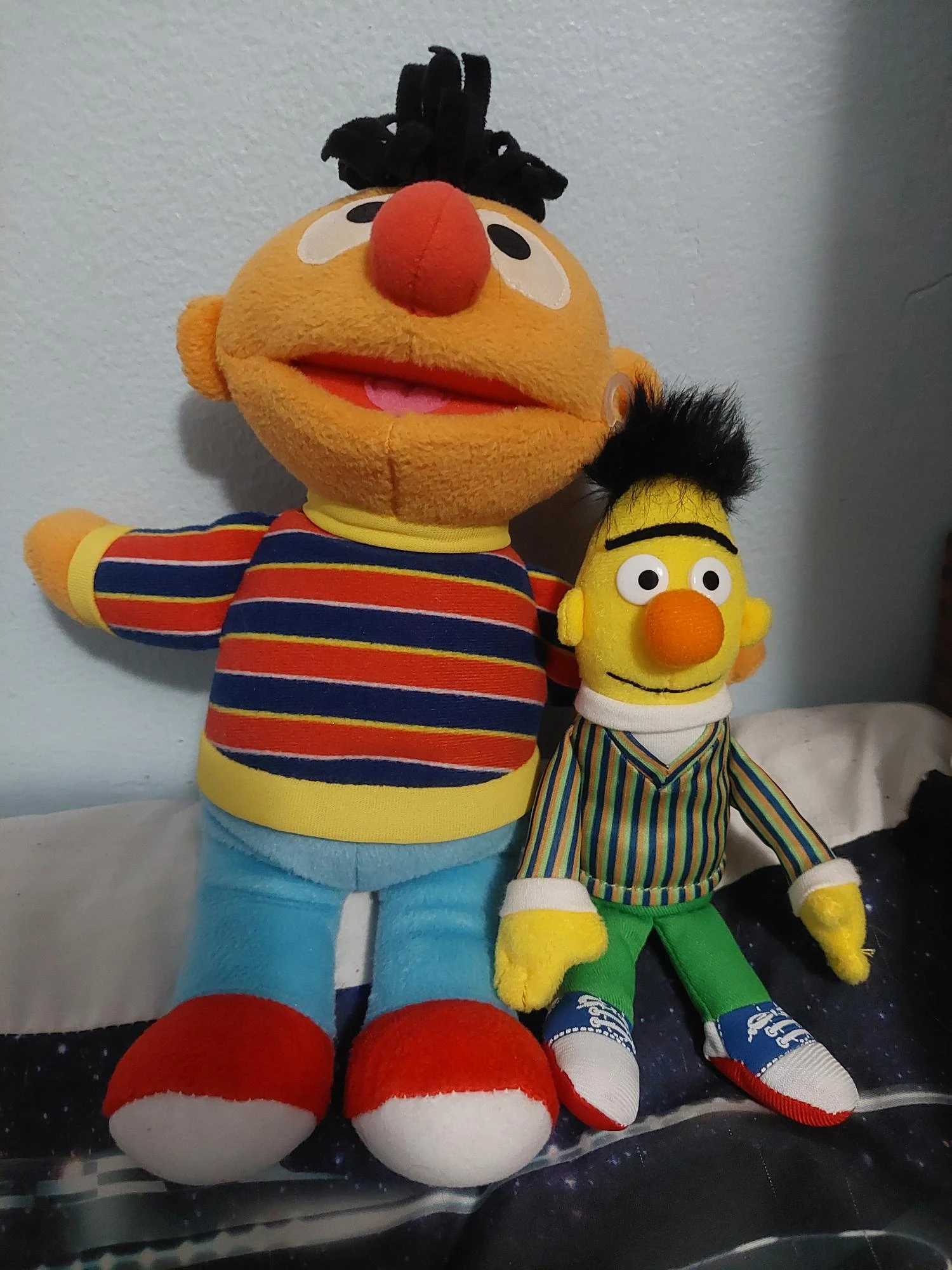 Just got my Bert plush today, ask me (or my cat) anything! | Fandom