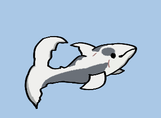 Silly ancient orca :3 | Fandom