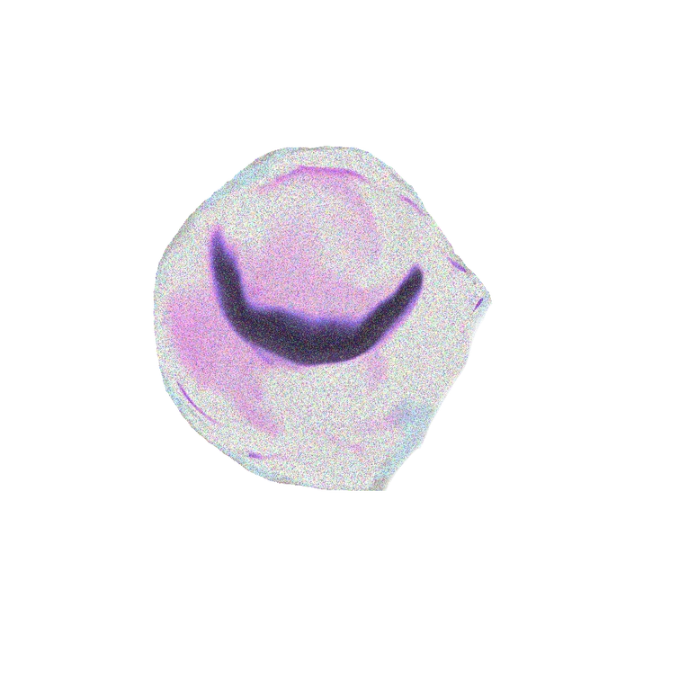 Random U section concept | Fandom