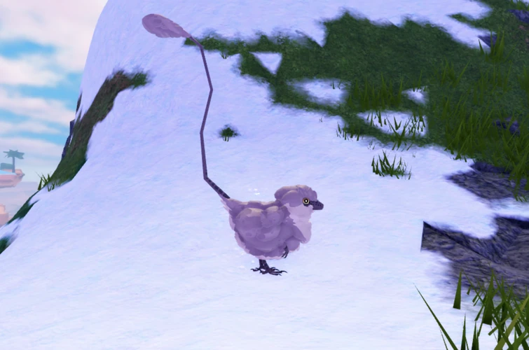 Name Ideas! | Fandom