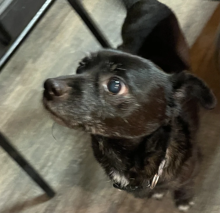 Daily Post - Issue 166 | Fandom