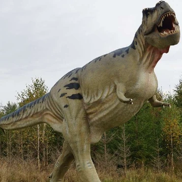 Discuss Everything About Dinopedia | Fandom