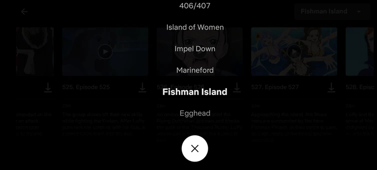 so on netflix one piece, fish man arc was deleted so you can’t see the ...