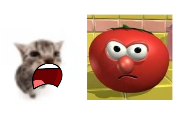 Breaking news:Local cat is getting sued by tomato | Fandom