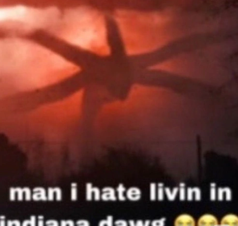 what if Dustin died rather than Eddie | Fandom