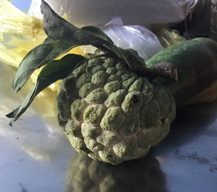Sugar apple in real life 🤑🤑🤑🤑🤫🤫🤫 | Fandom