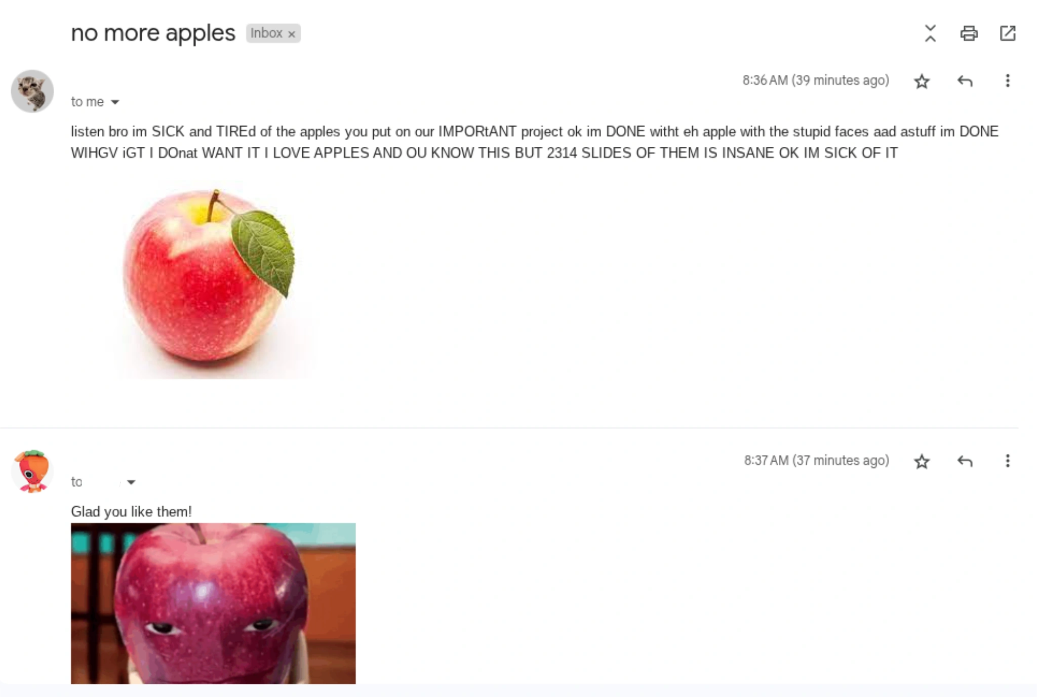 my fren didn't like the 3,000 slides of apples on our technology finale ...