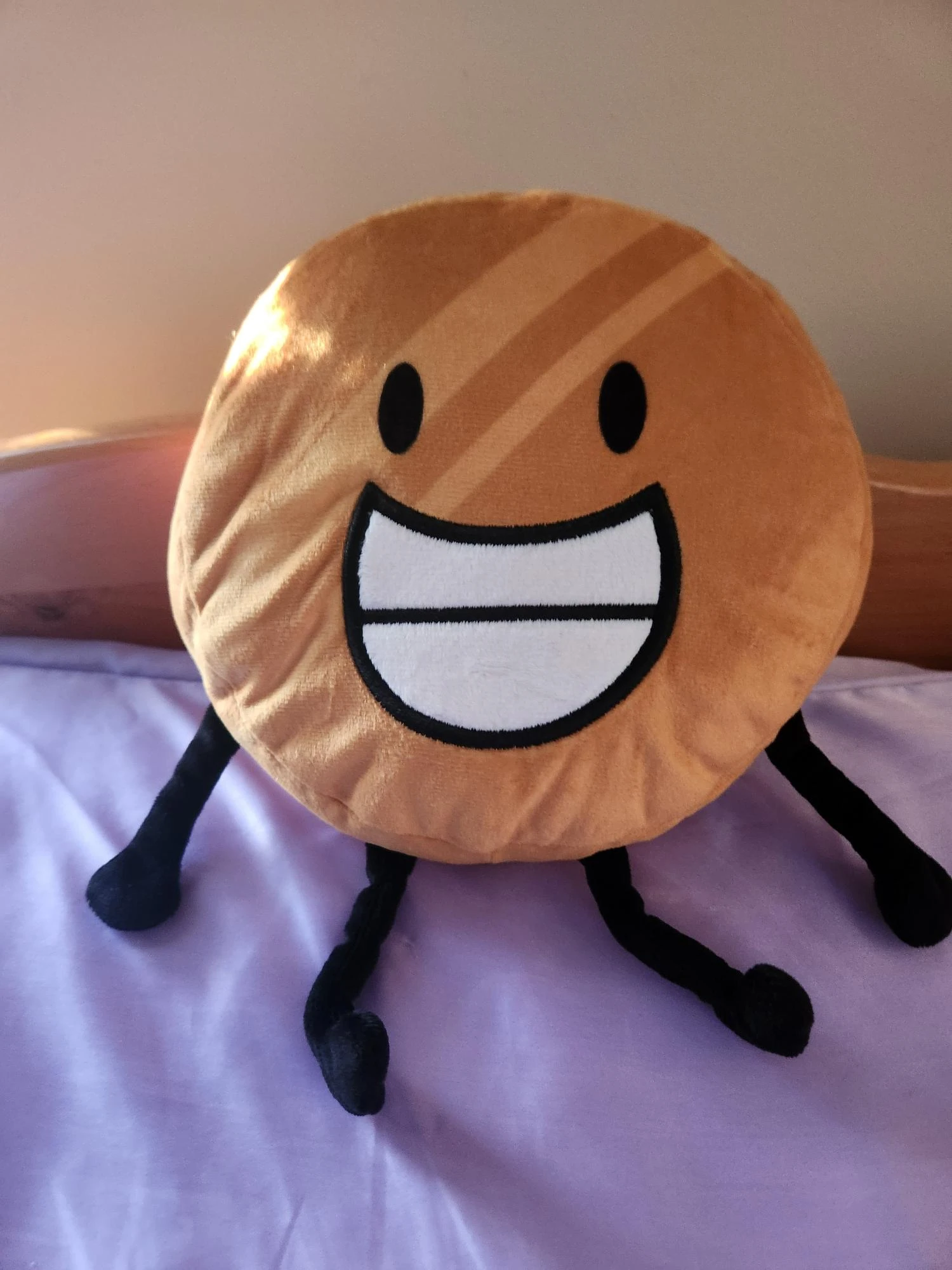 MY COINY PLUSH HAS FINALLY ARRIVED | Fandom