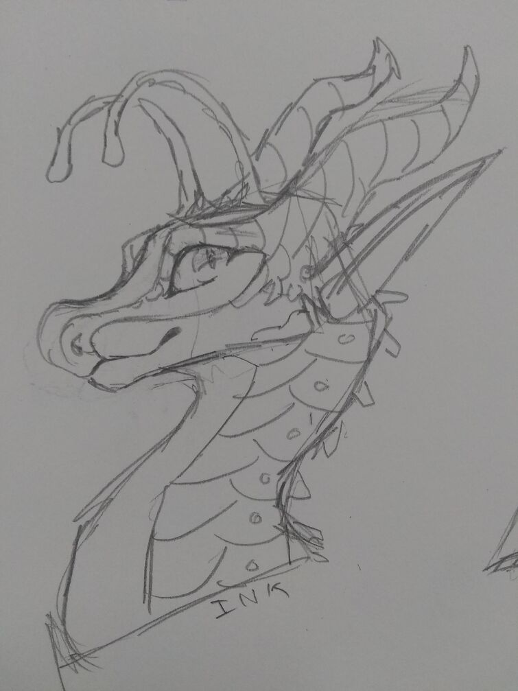 Silkwing Headshot Fandom