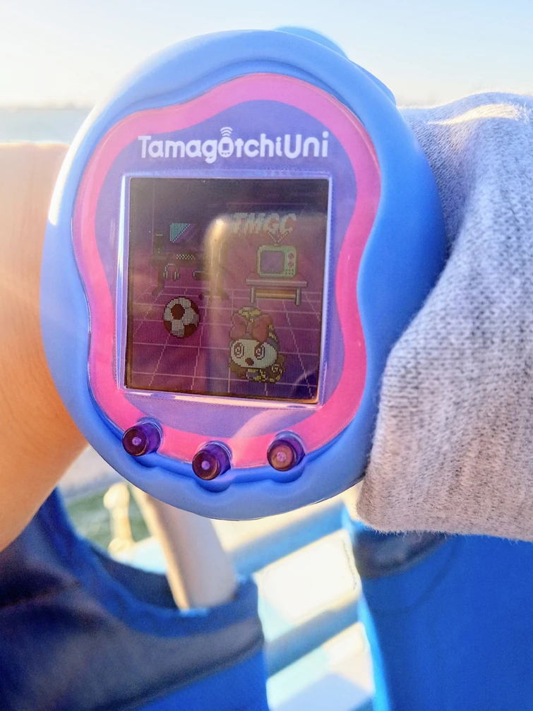 Discuss Everything About The Tama-Rama Tamagotchi Fanon Wiki | Fandom
