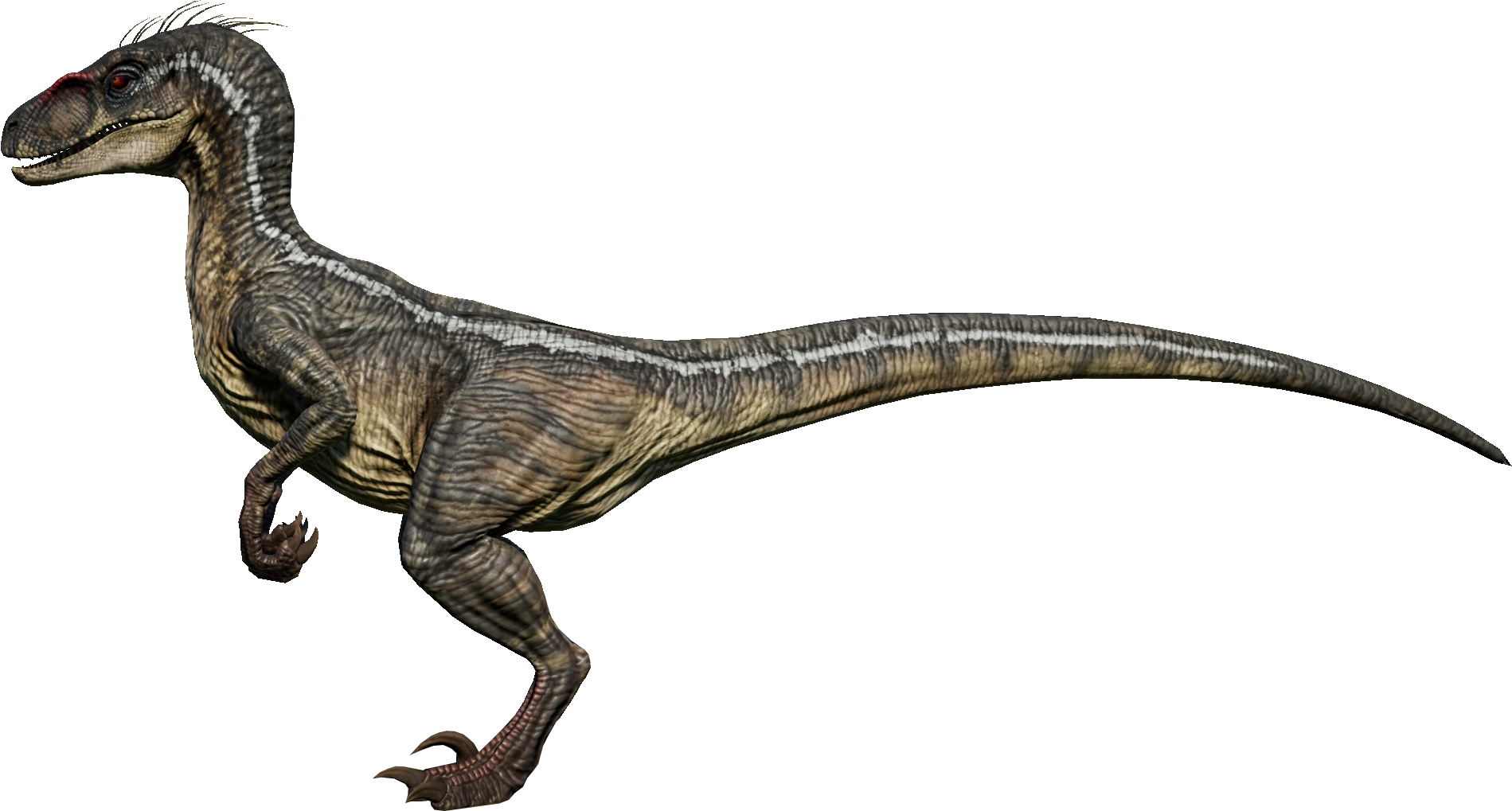 i've been wondering why velociraptor never got any options to change ...