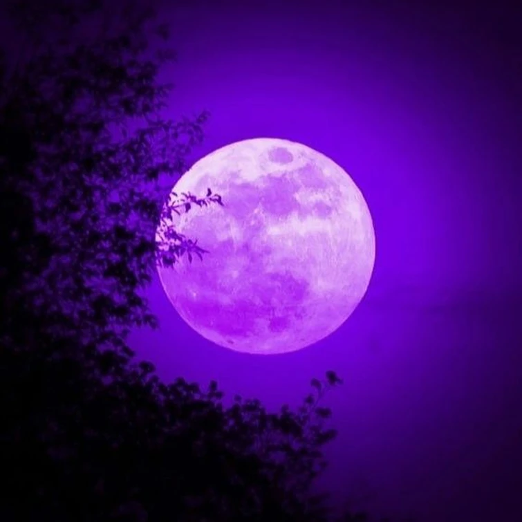 To anyone who uses Tiktok and is unaware of the situation. | Fandom