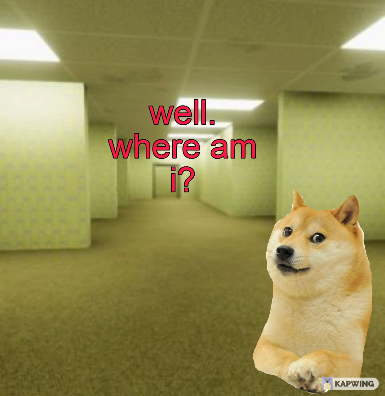 doge gets stuck in the backrooms while trying to obtain buff eulopii ...