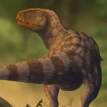 Discuss Everything About Dinopedia | Fandom