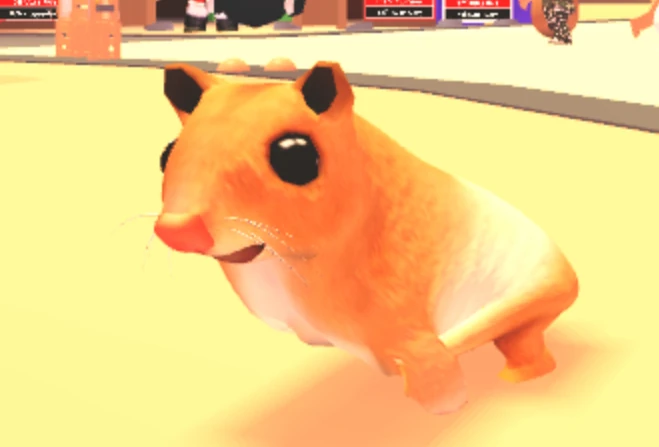 Why hamsters should be added to adopt me | Fandom