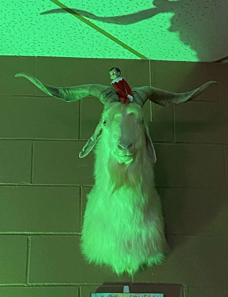 Give me nfr lava wolf for my no pot n lava wolf and squid | Fandom