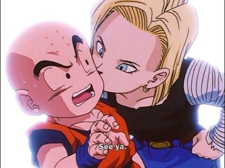 yamcha and vidro vs android 18 and krillin | Fandom