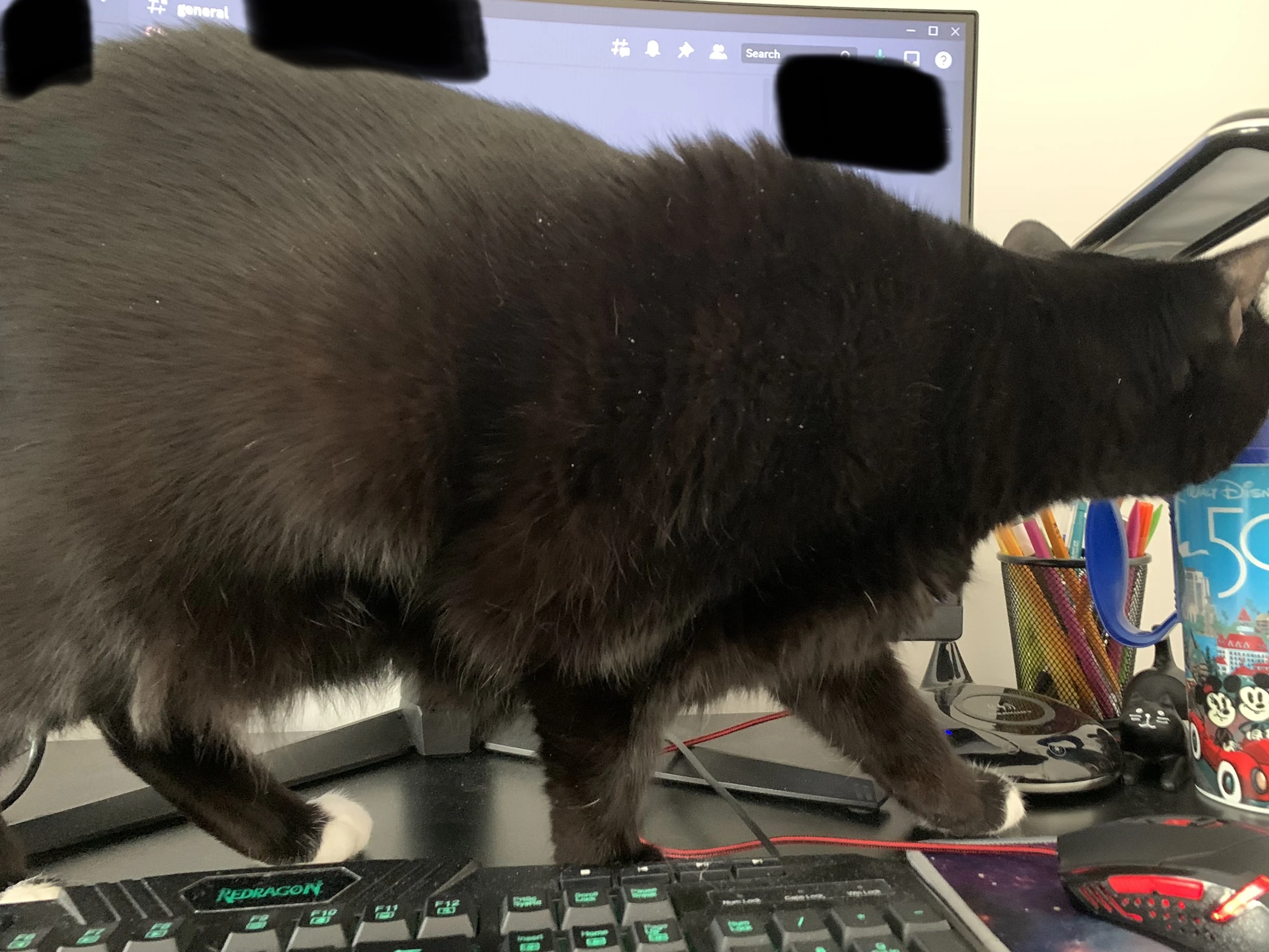 alrighty show me some of your art and ill rank ur style (closed bc ...