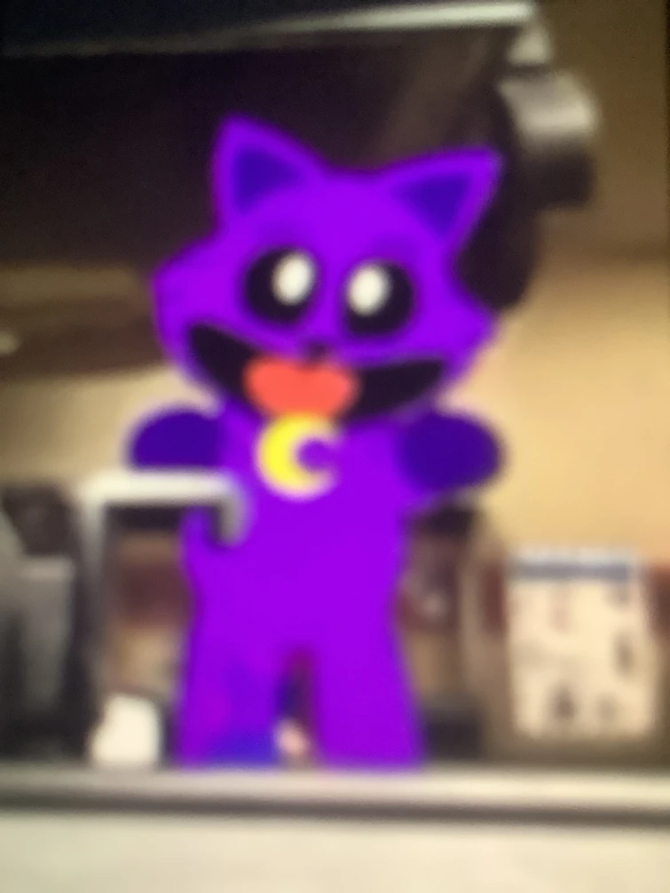 Catnap in VRCHAT | Fandom