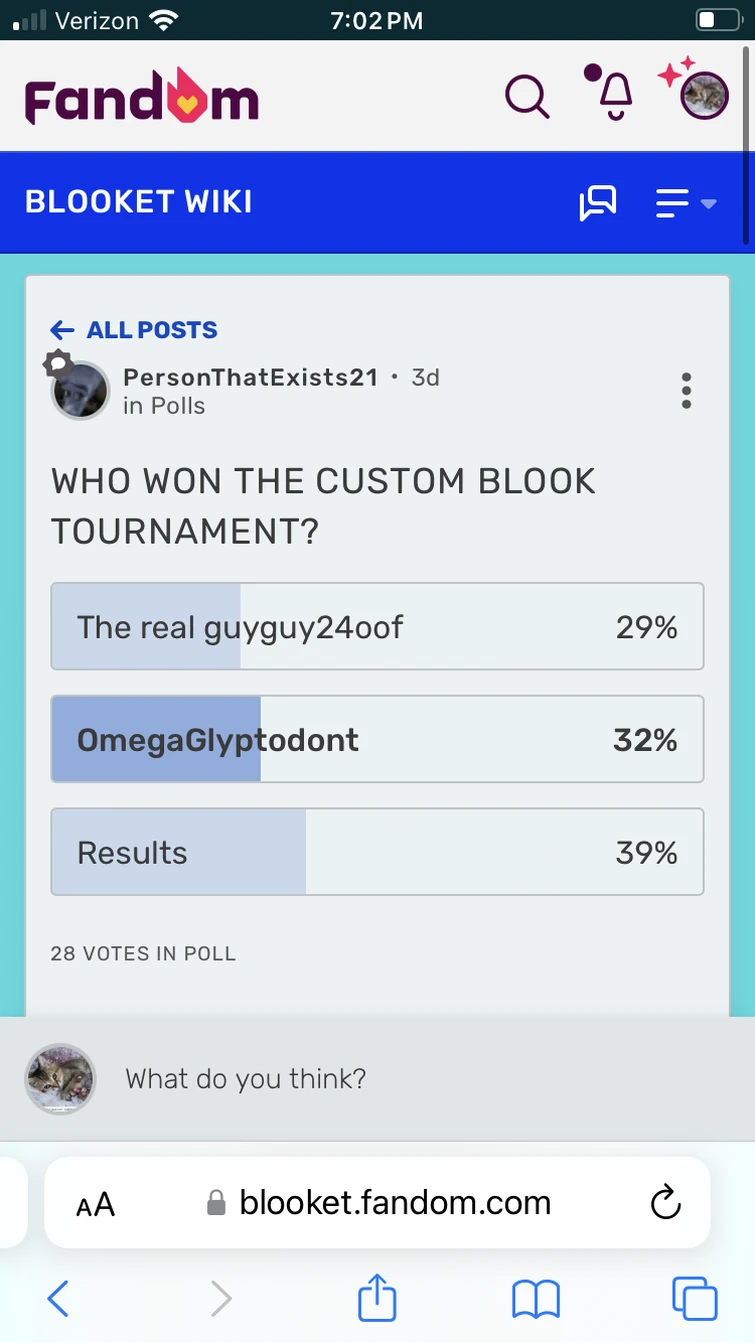Custom Blook Tournament! (RESULTS) | Fandom