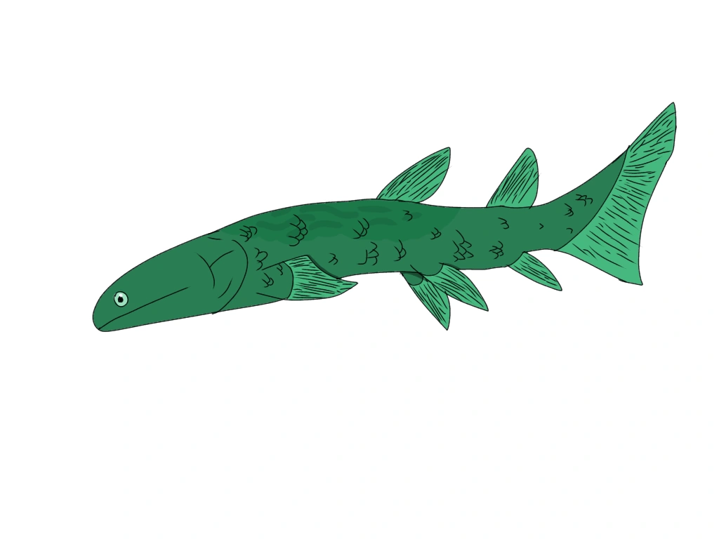 Gogonasus art - P1 of Paleozoic Gallery | Fandom