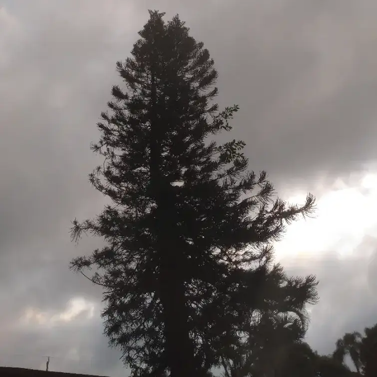 Discuss Everything About The Uncanny Incredible Wiki | Fandom