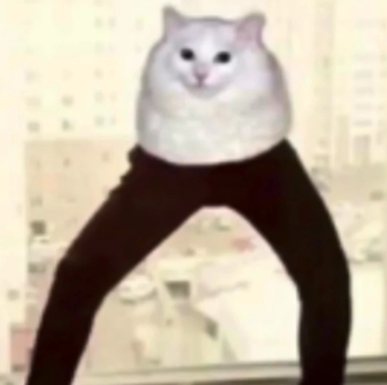 Boppity cat 20 sneak peeks! | Fandom