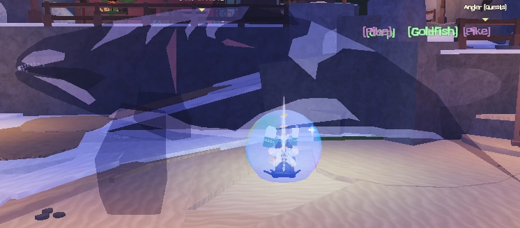 translucent orca | Fandom