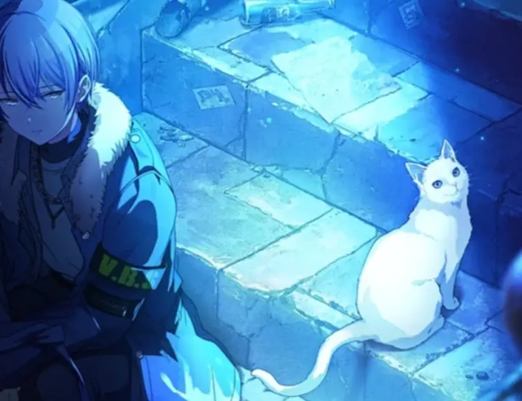 Toya cat appreciation (repost) | Fandom