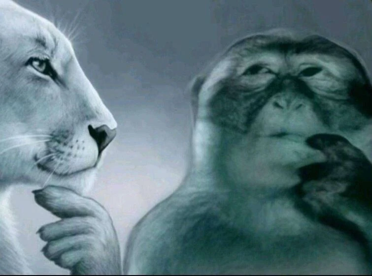 When the- wait uhhh let me think of a meme uhhh uhhhhhhh uhhhh uhm ...