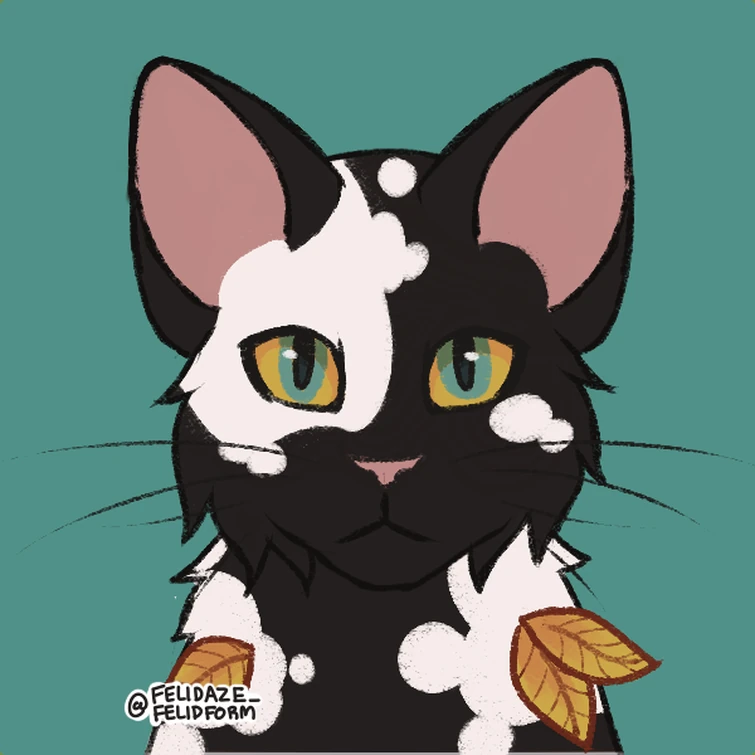 Wypełniam w picrew - Felidaze's warrior cats creator i arty na kartce | Fandom