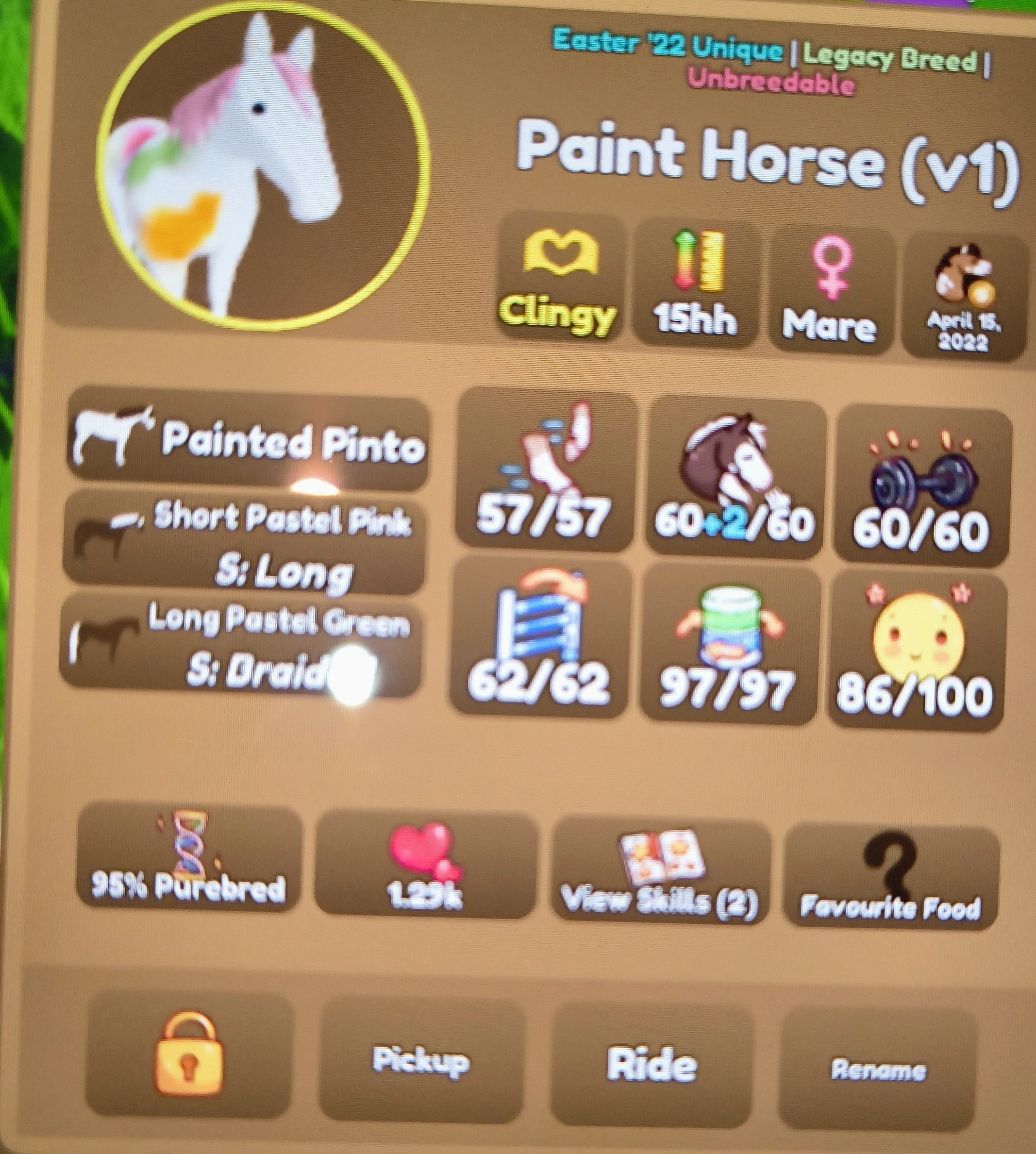 Painted pinto | Fandom