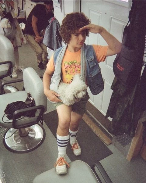 GATEN MATARAZZO | Fandom