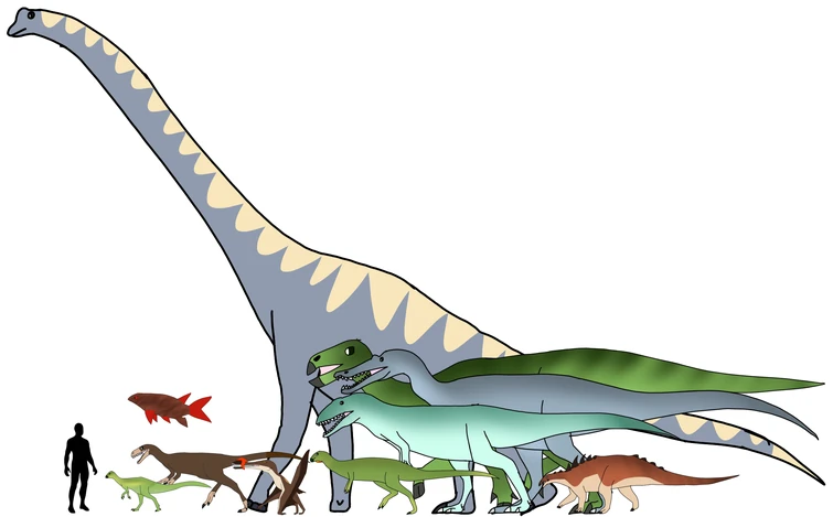 Discuss Everything About Dinopedia | Fandom