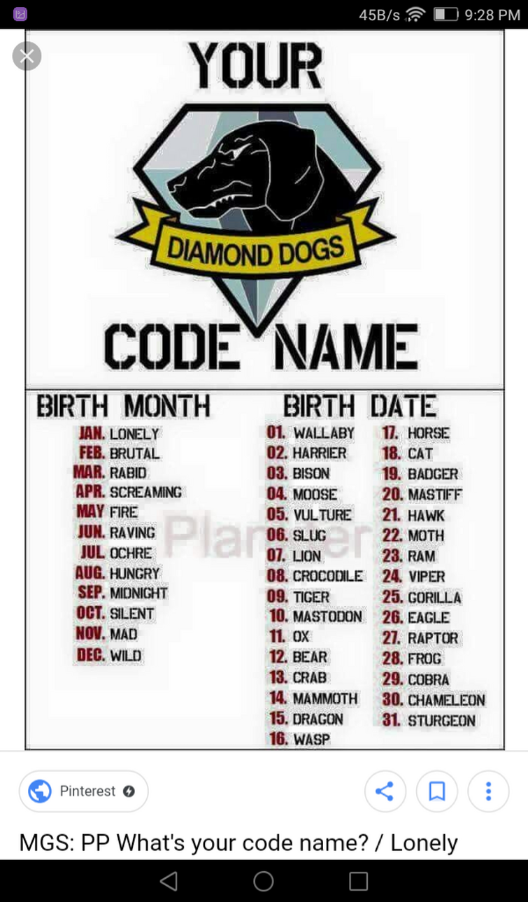 What is your code name if you were a Diamond Dog? | Fandom