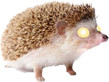 Discuss Everything About Amphibia Wiki | Fandom