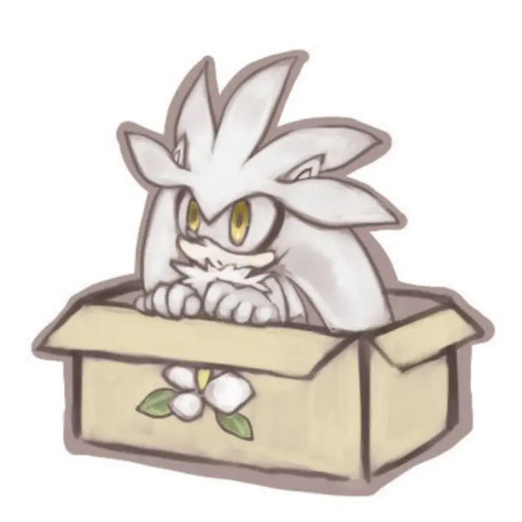 Happy 18th Anniversary, sonic93! | Fandom