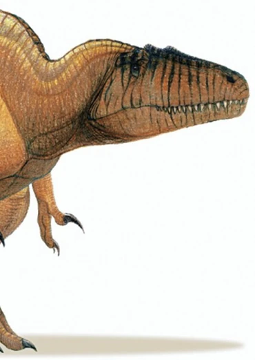Discuss Everything About Dinopedia | Fandom