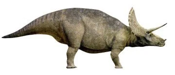 Just a reminder this thing exists | Fandom