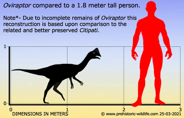 Species Profile | Fandom