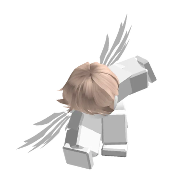 First Match of Round of 16 of Roblox Avatar Contest | Fandom